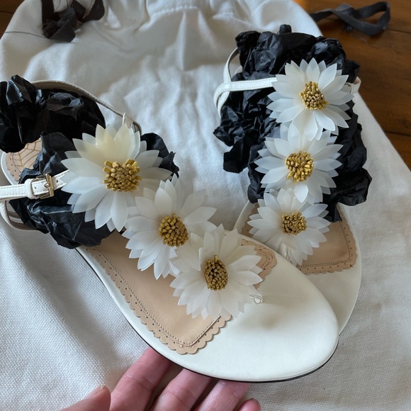 Charlotte Olympia | Shoes | Charlotte Olympia White Posey Appliqued ...
